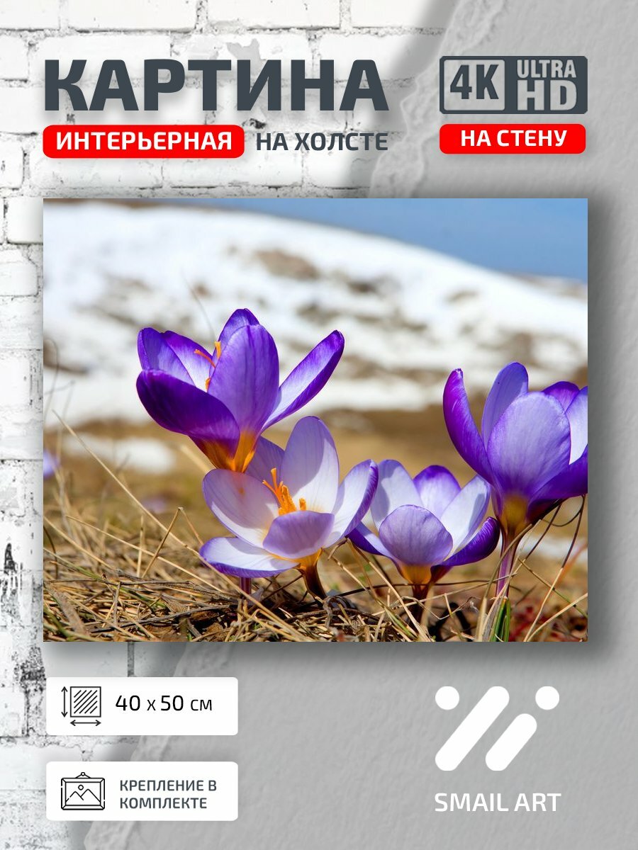 Картина на холсте интерьерная 40 на 50 на стену Первоцвет Landscape для офиса пейзаж декор