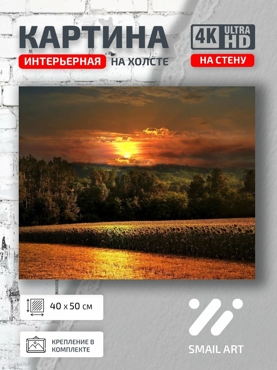 Картина на холсте интерьерная 40 на 50 на стену Облака Landscape для офиса пейзаж интерьер