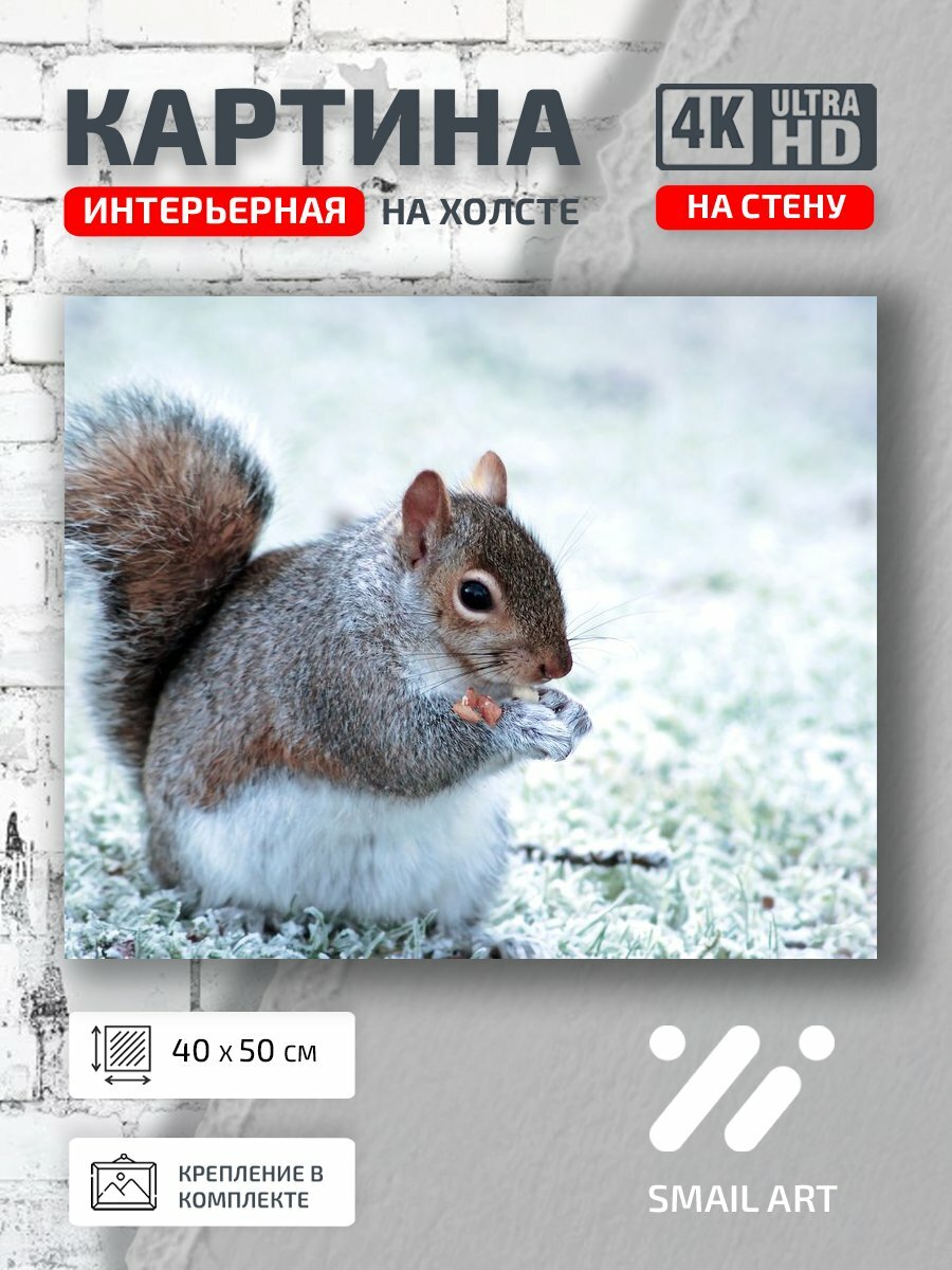 Картина на холсте интерьерная 40 на 50 на стену Белка Mood для спальни атмосфера интерьер