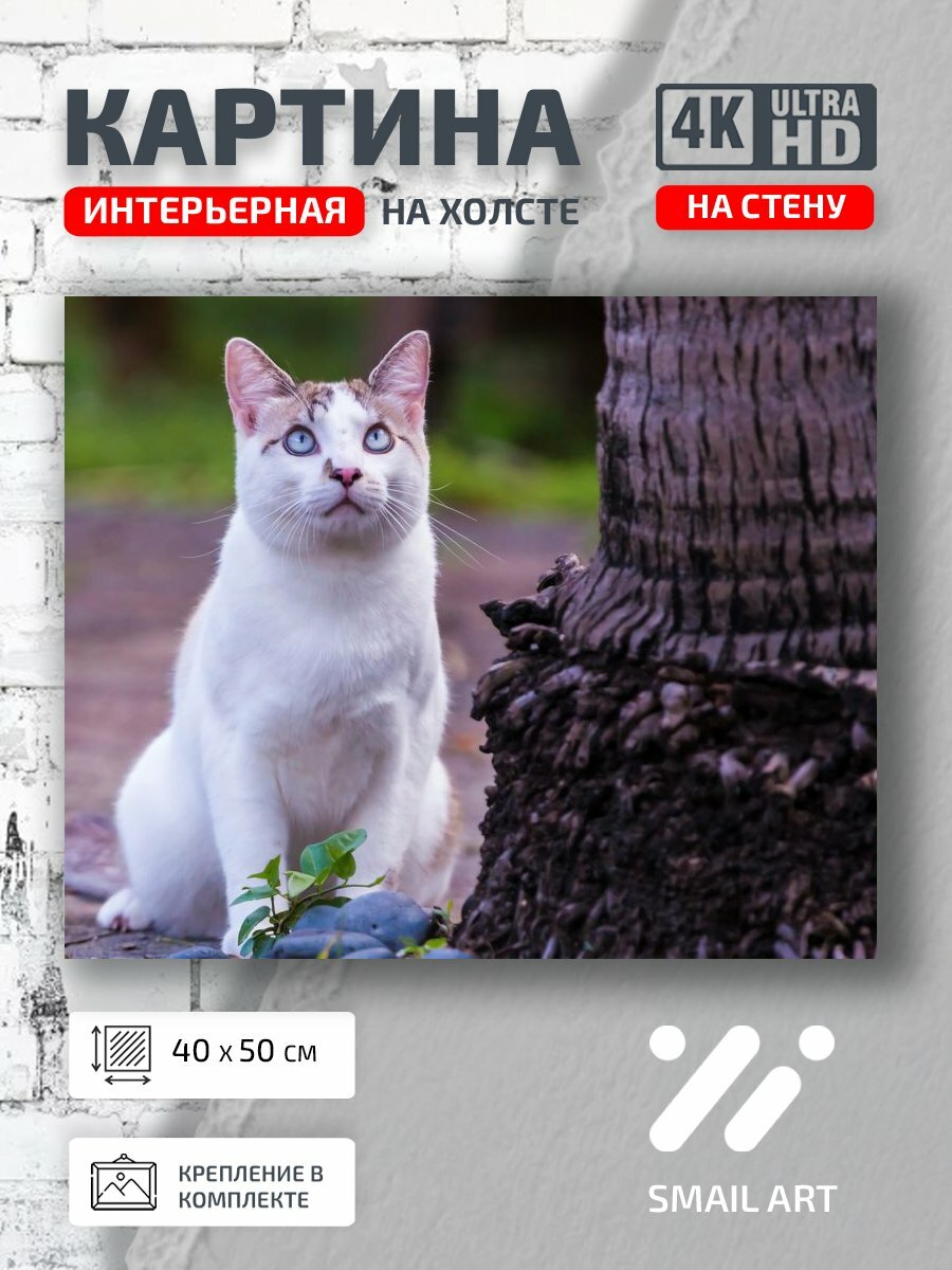 Картина на холсте интерьерная 40 на 50 на стену Кора Landscape для офиса пейзаж интерьер