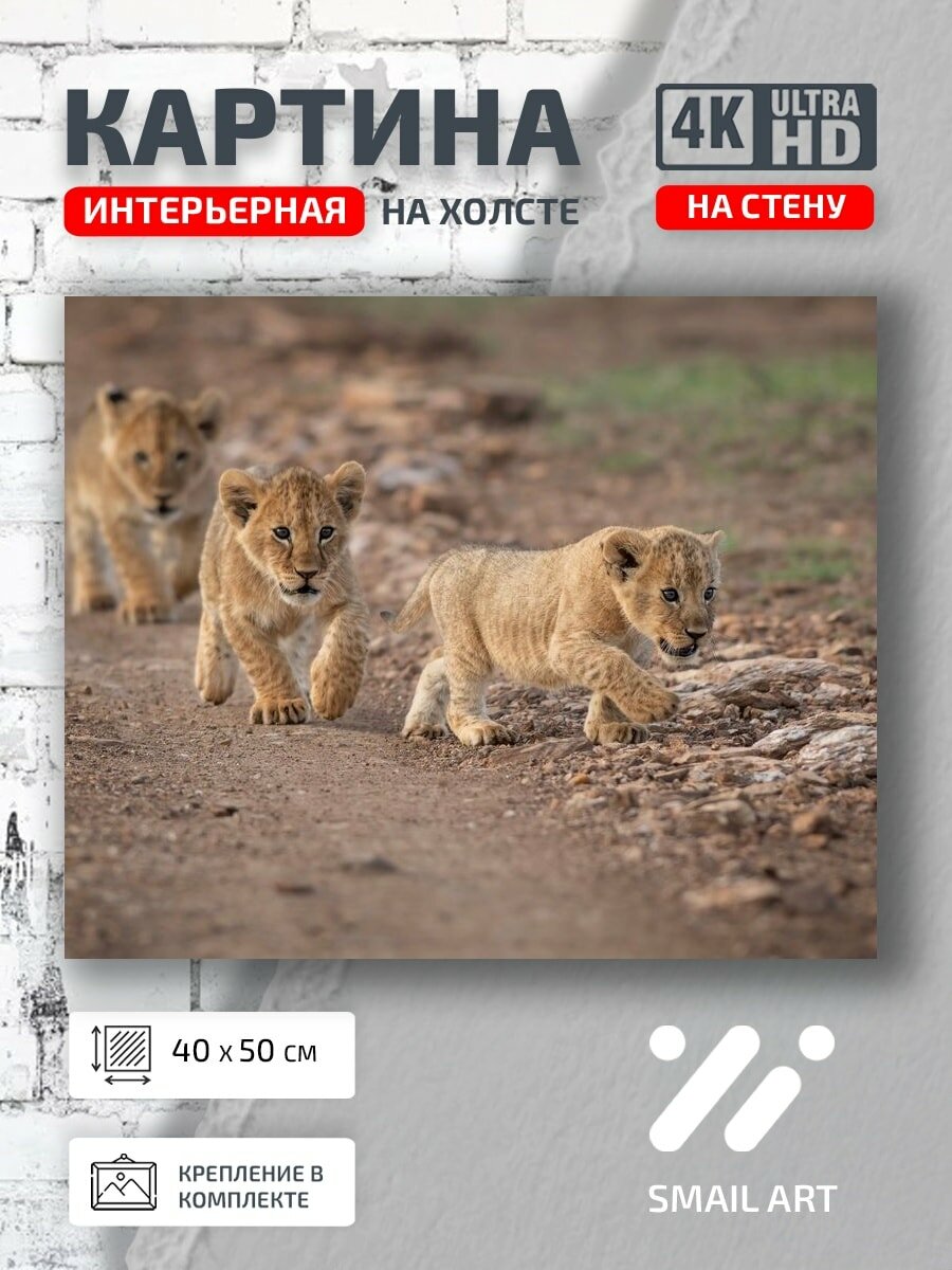 Картина на холсте интерьерная 40 на 50 на стену Животные Львята для офиса атмосфера