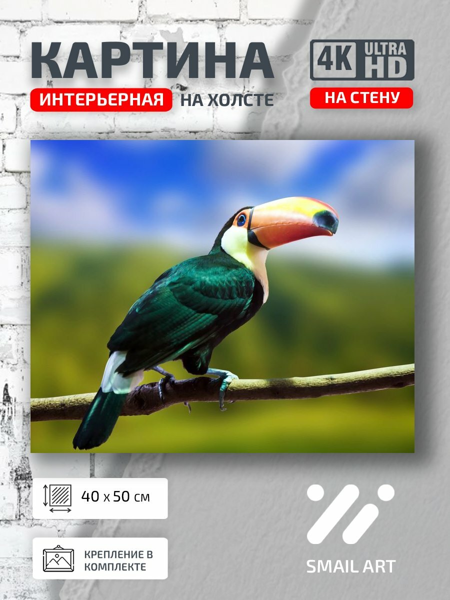 Картина на холсте интерьерная 40 на 50 на стену Тукан Landscape для спальни пейзаж интерьер