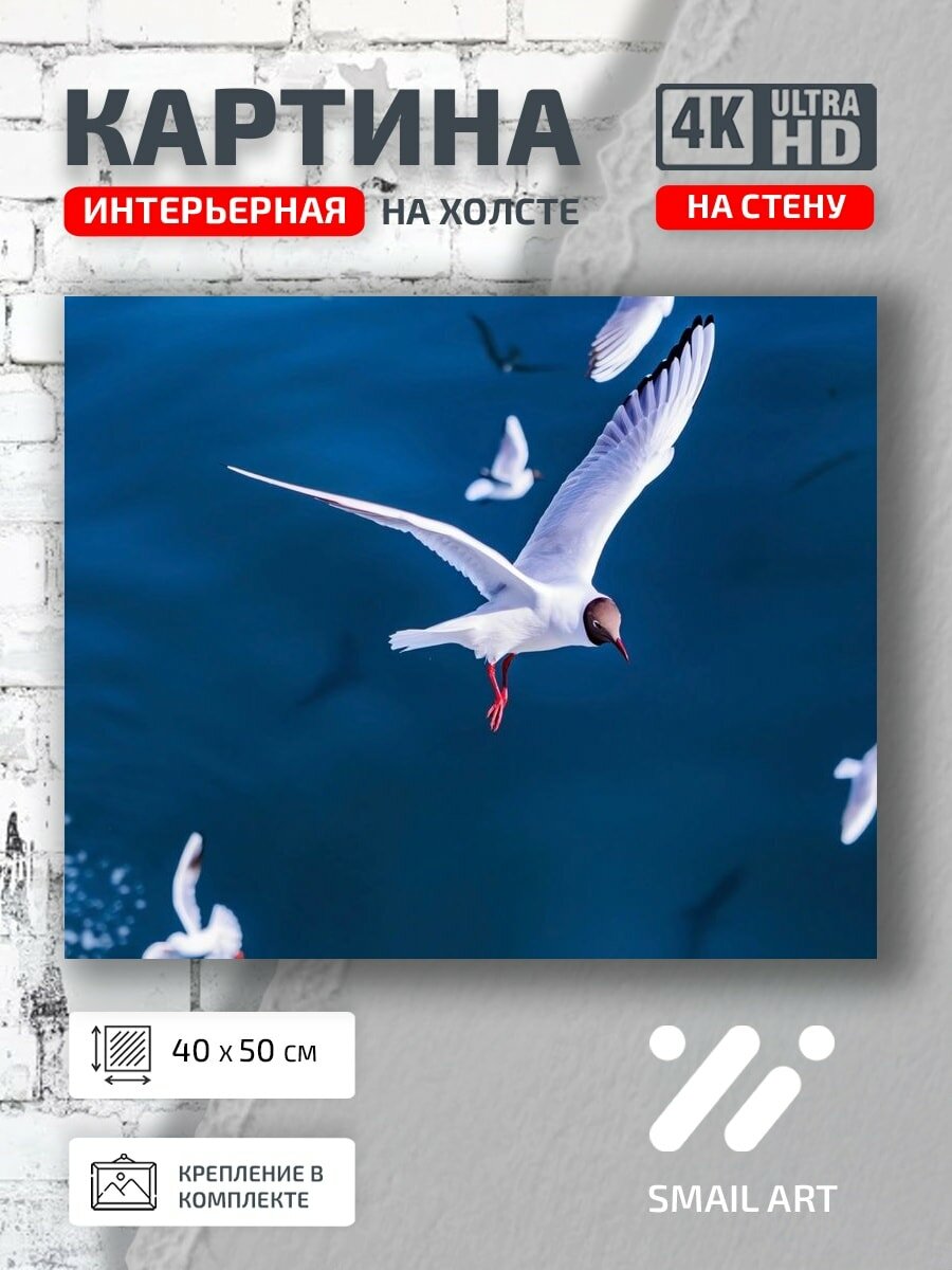 Картина на холсте интерьерная 40 на 50 на стену Птицы Чайка для гостиной атмосфера