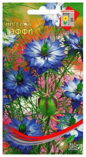 Нигелла Тэффи, 75 семян