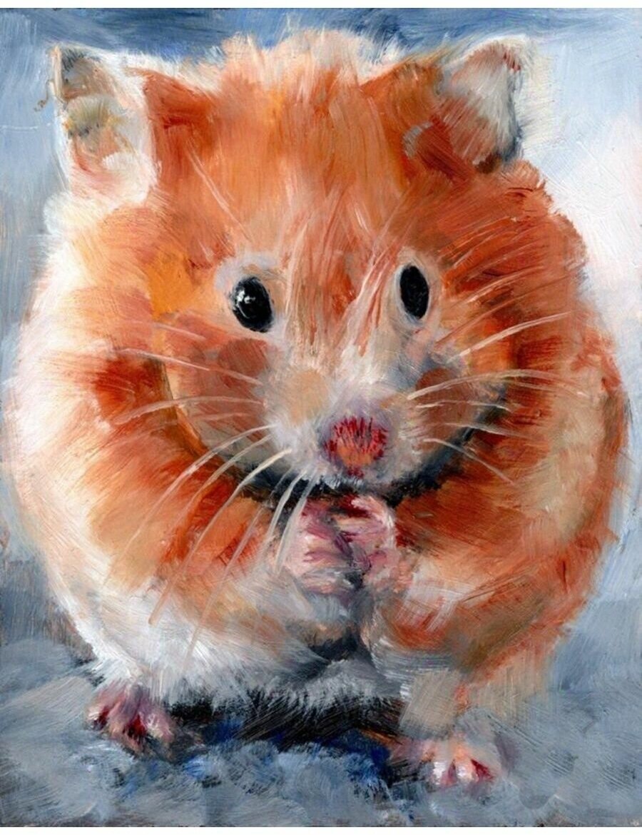 Картина по номерам "Хомячок", хлопковый холст на подрамнике 40х50 см, акрил, 000 Art Hobby Home