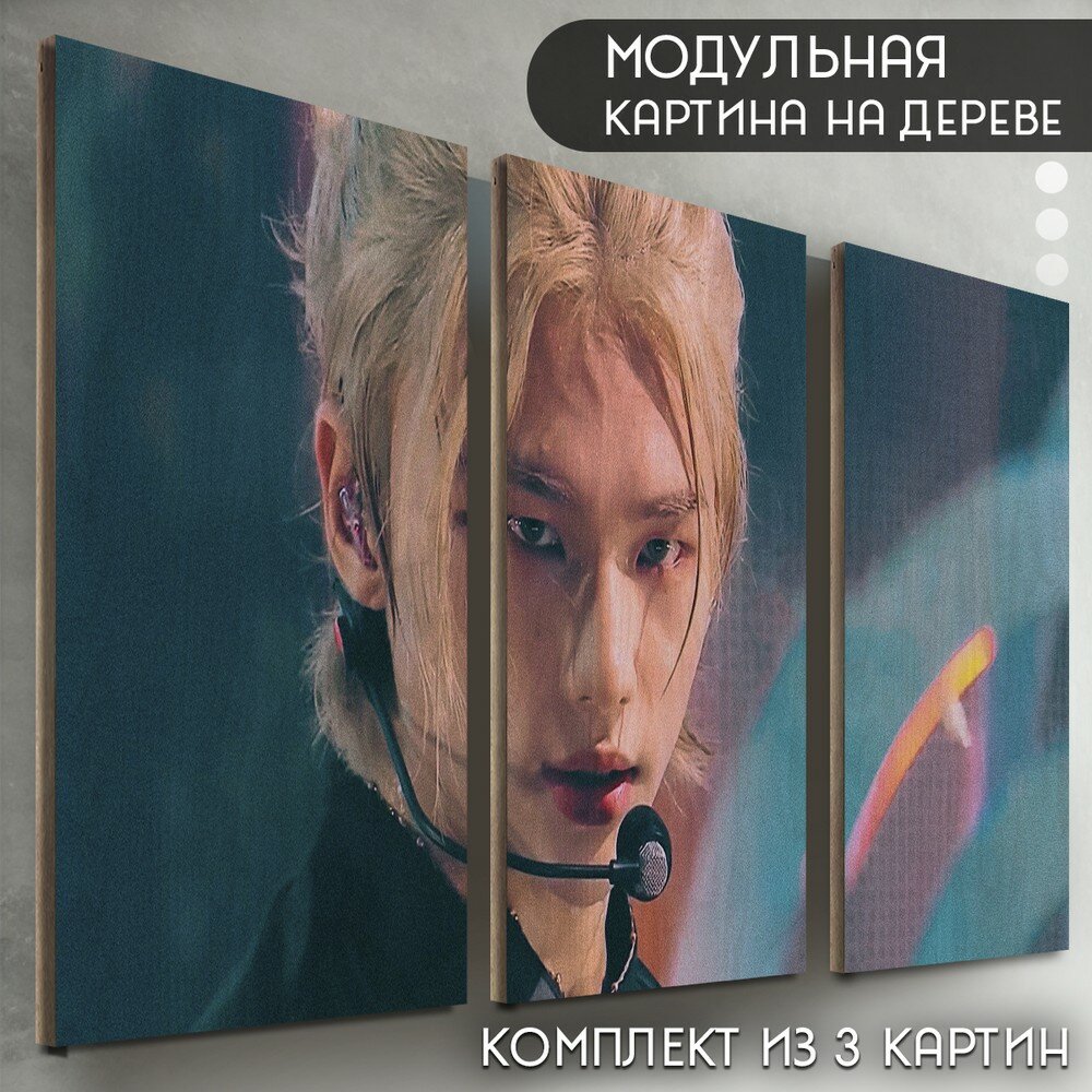 Модульная картина на дереве "Музыка Stray Kids (Южная Корея, K-pop, J-pop, Пан Чхан, Ли Ноу, Чханбина, Хёнджин, Джисон, Феликс, Сынмин) - 6671"