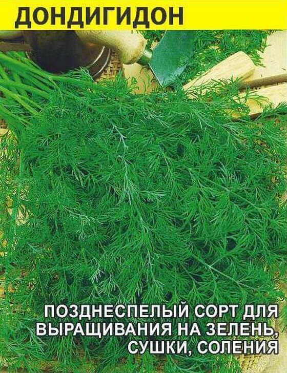 Семена Укроп Дондигидон — фото 1