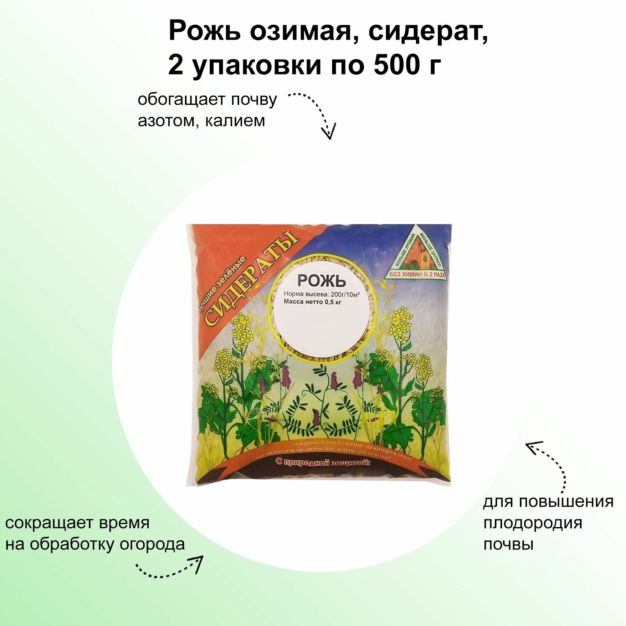 Рожь озимая, сидерат 2x500 г. Повышает плодородие почвы, служит натуральным источником питания