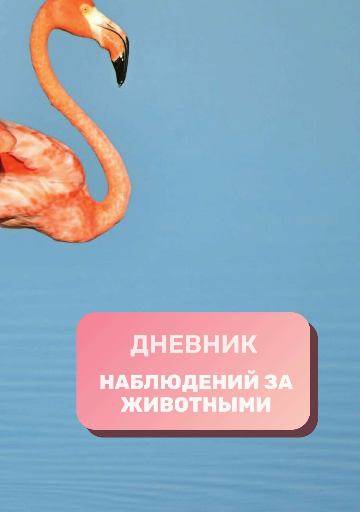 Дневник наблюдения за животными, универсальный