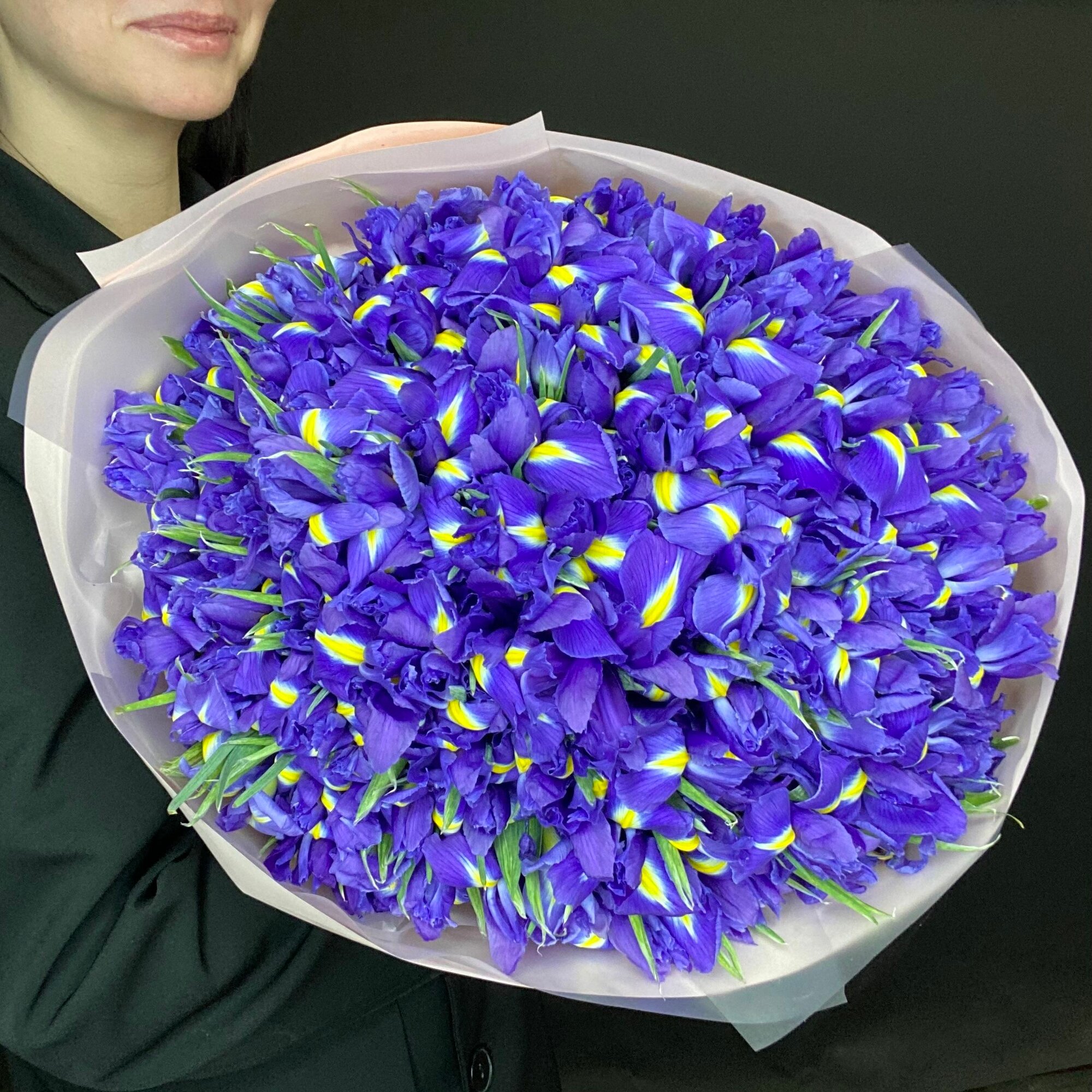 151 ирис (151 ирис), высота букета 50 см, ширина букета 40 см