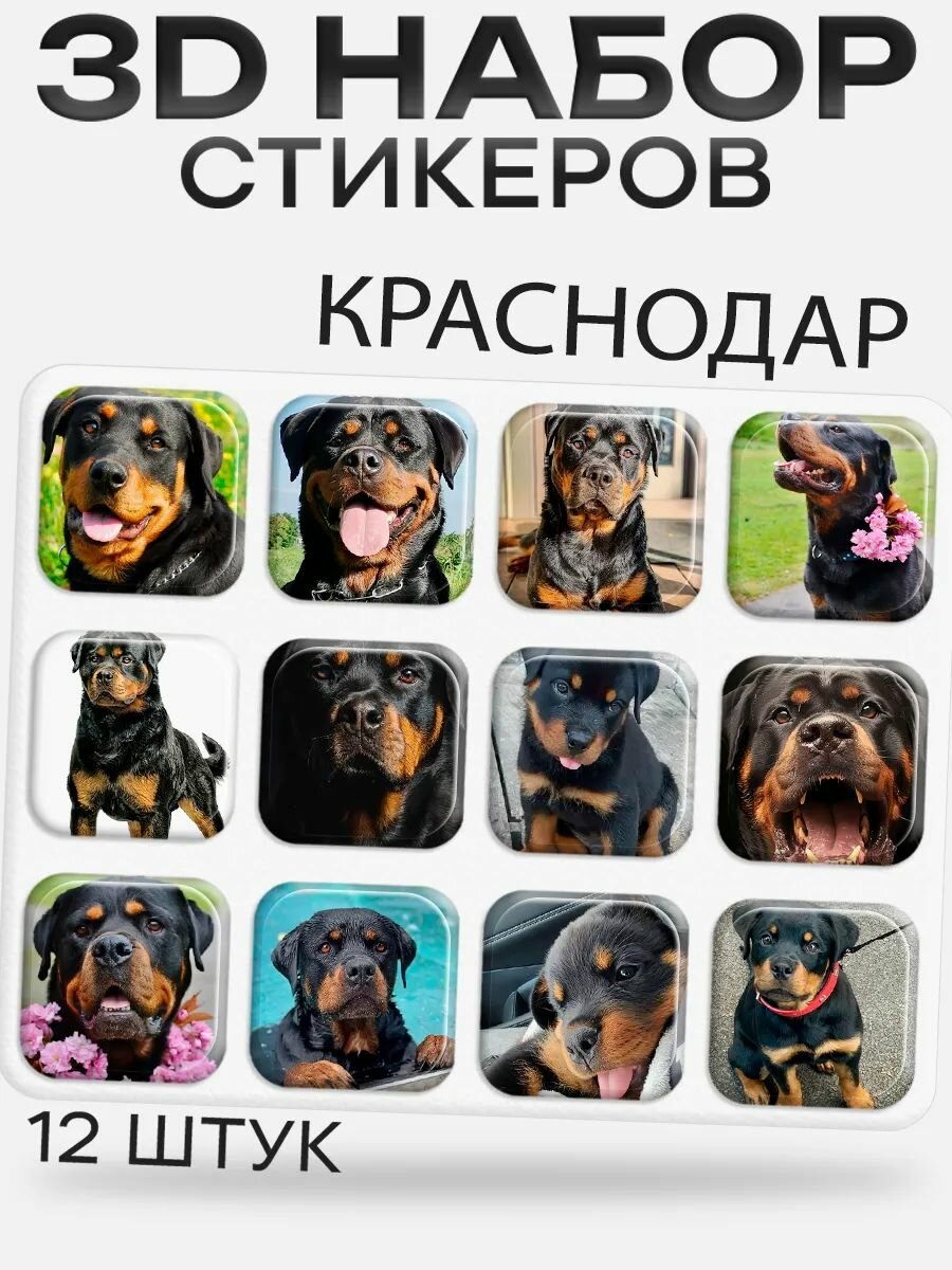 3D стикеры на телефон краснодар