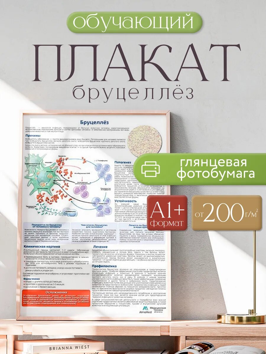 Бруцеллёз медицинский плакат, глянцевая фотобумага от 200 г/кв. м, размер A1+