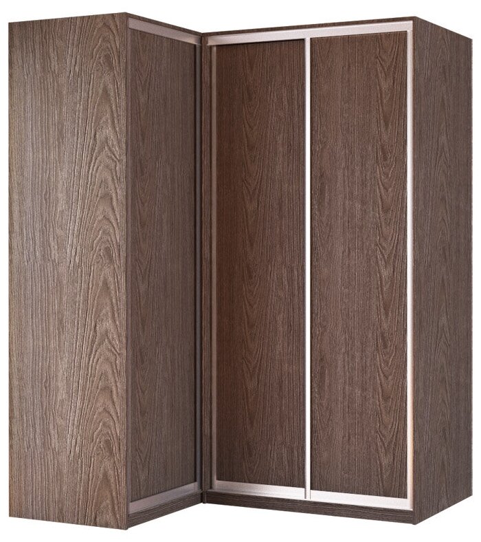 Шкаф-купе угловой Премьер-2 для одежды трехдверный 100*220*60