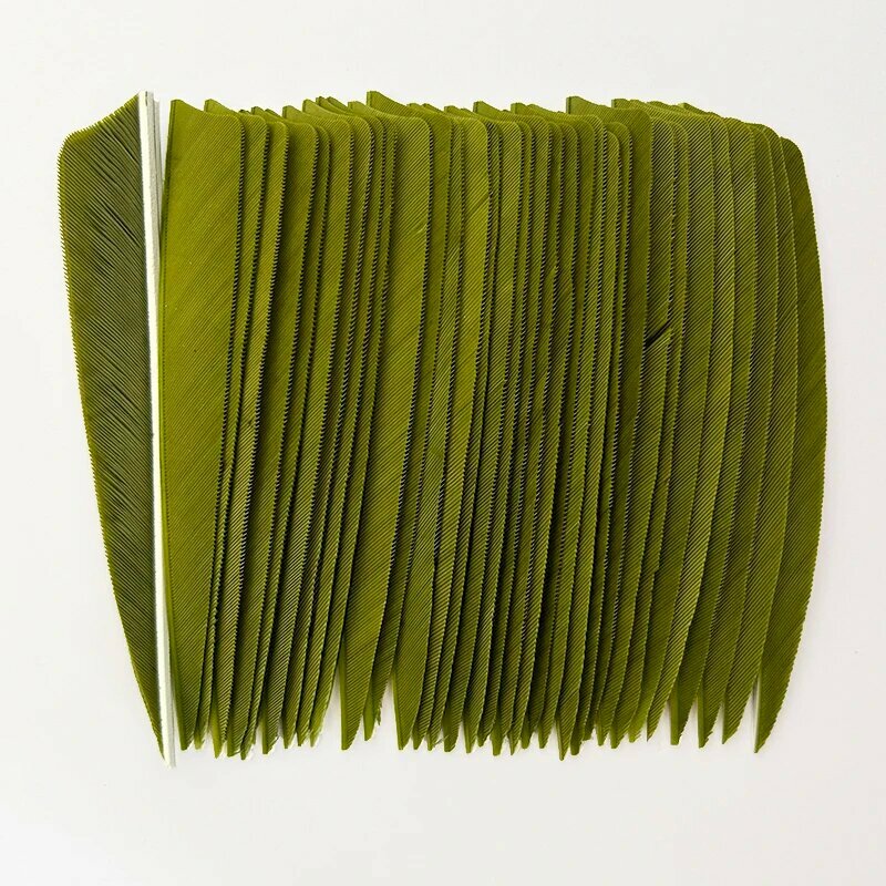 100 перьев индейки для стрел 4 дюйма Зеленый, olive green
