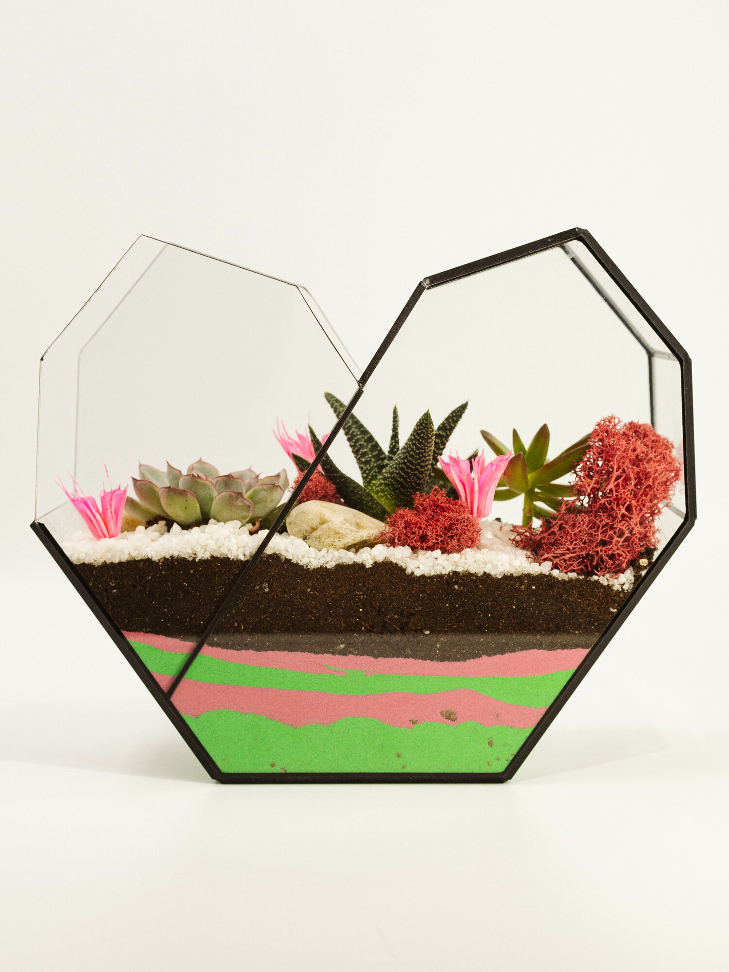 Флорариум с суккулентами "Сердце", GreenCube, 26см, настольный, Сердце, подарок