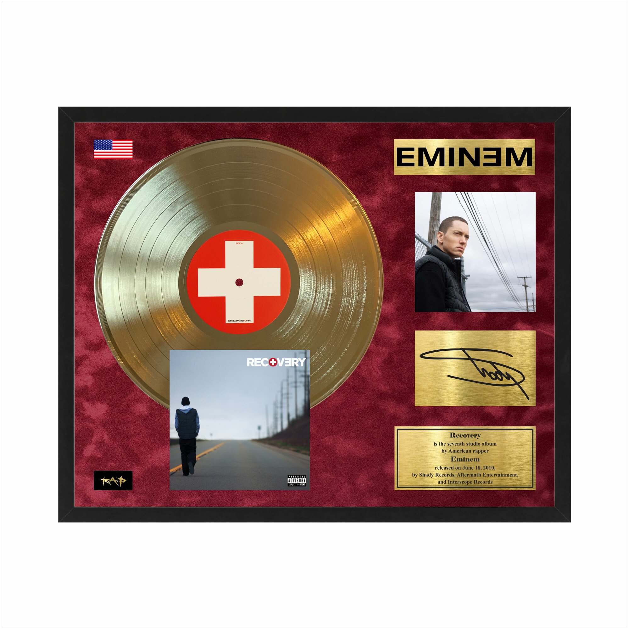 Интерьерная картина Eminem Recovery