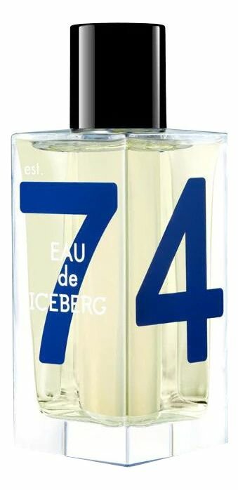Iceberg Eau De Cedar Туалетная вода для мужчин 100 ml