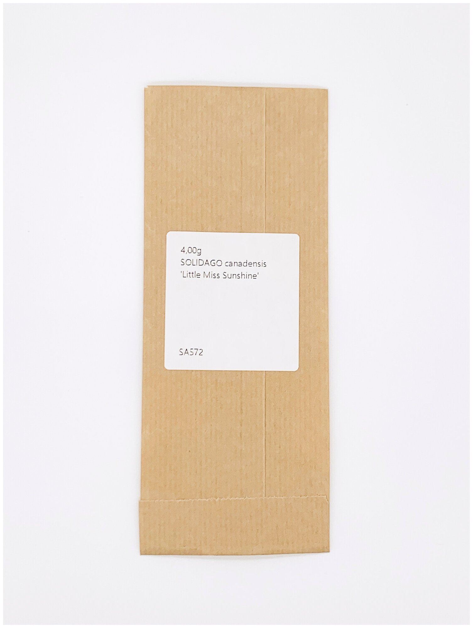 Семена Jelitto Золотарник канадский "Little Miss Sunshine" (SOLIDAGO ...