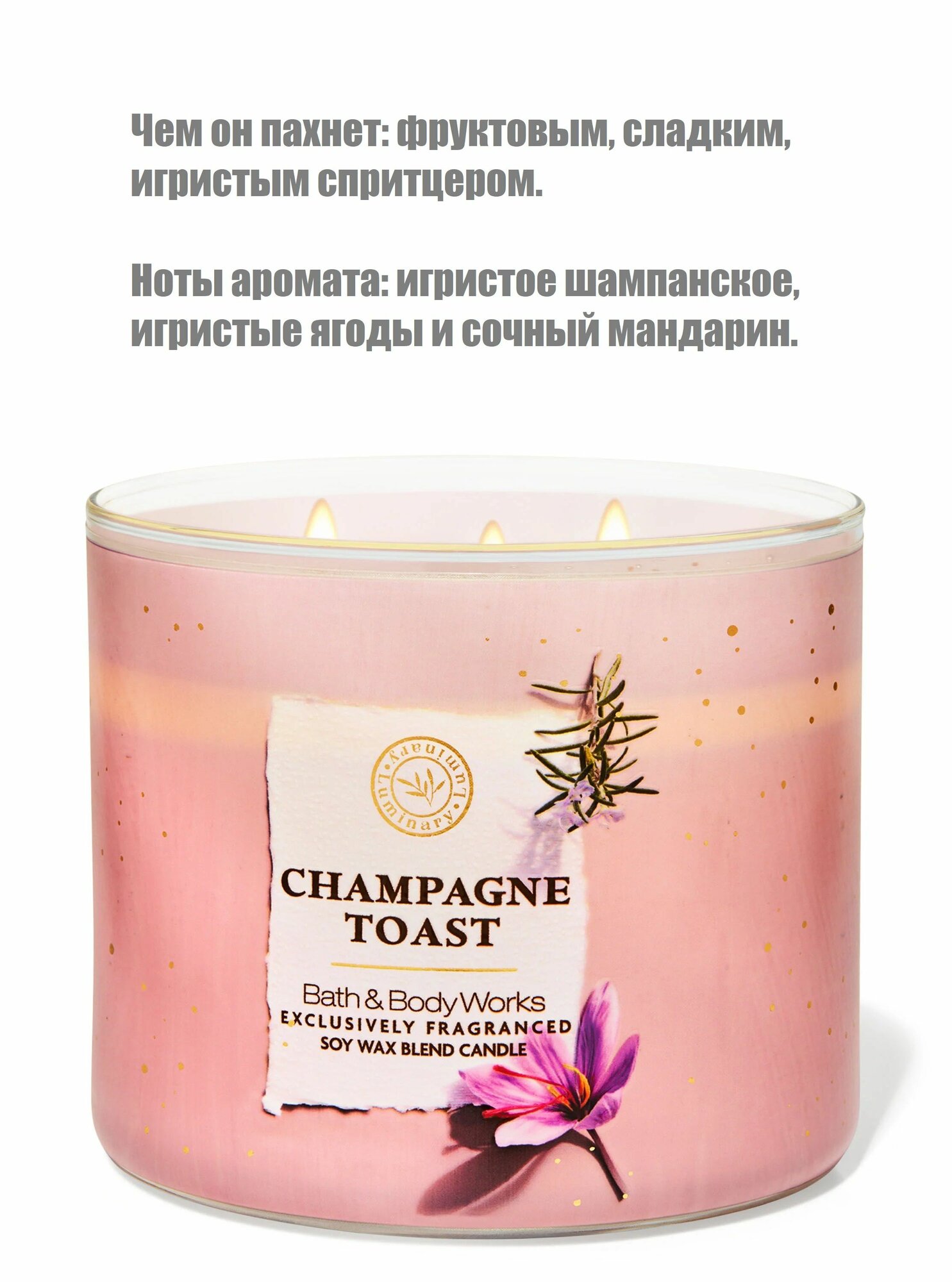 Bath and Body Works свеча ароматическая с 3-мя фитилями Champagne Toast (411 грамм)