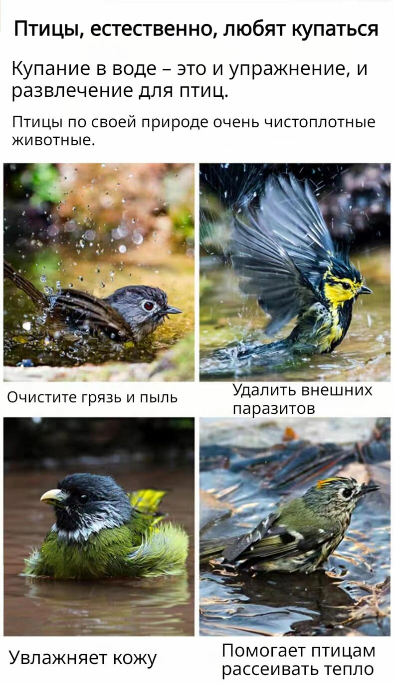 Ванночка для животных — фото 1