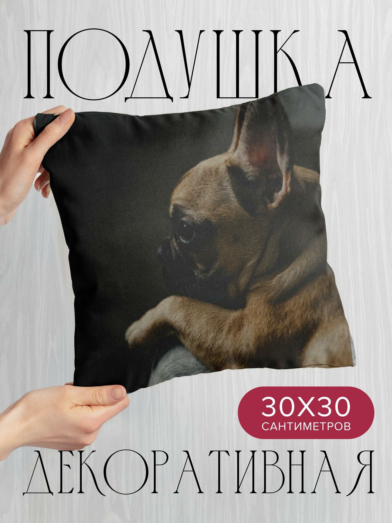 Подушка декоративная, 30x30см / Животные / французский бульдог / собака