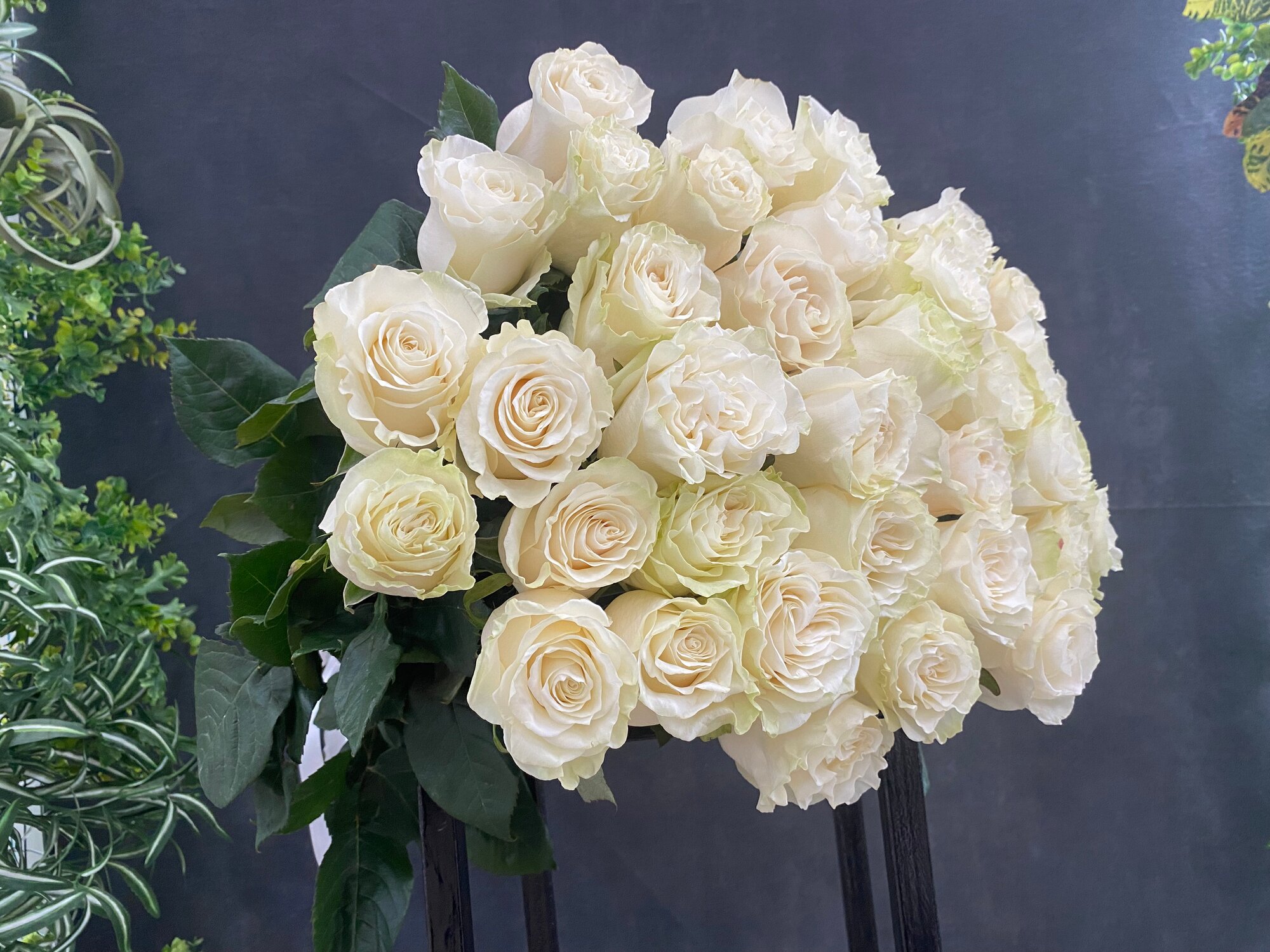 Высокие розы! Мондиаль букет из 35 белых роз 80 см из Эквадора с крупным бутоном