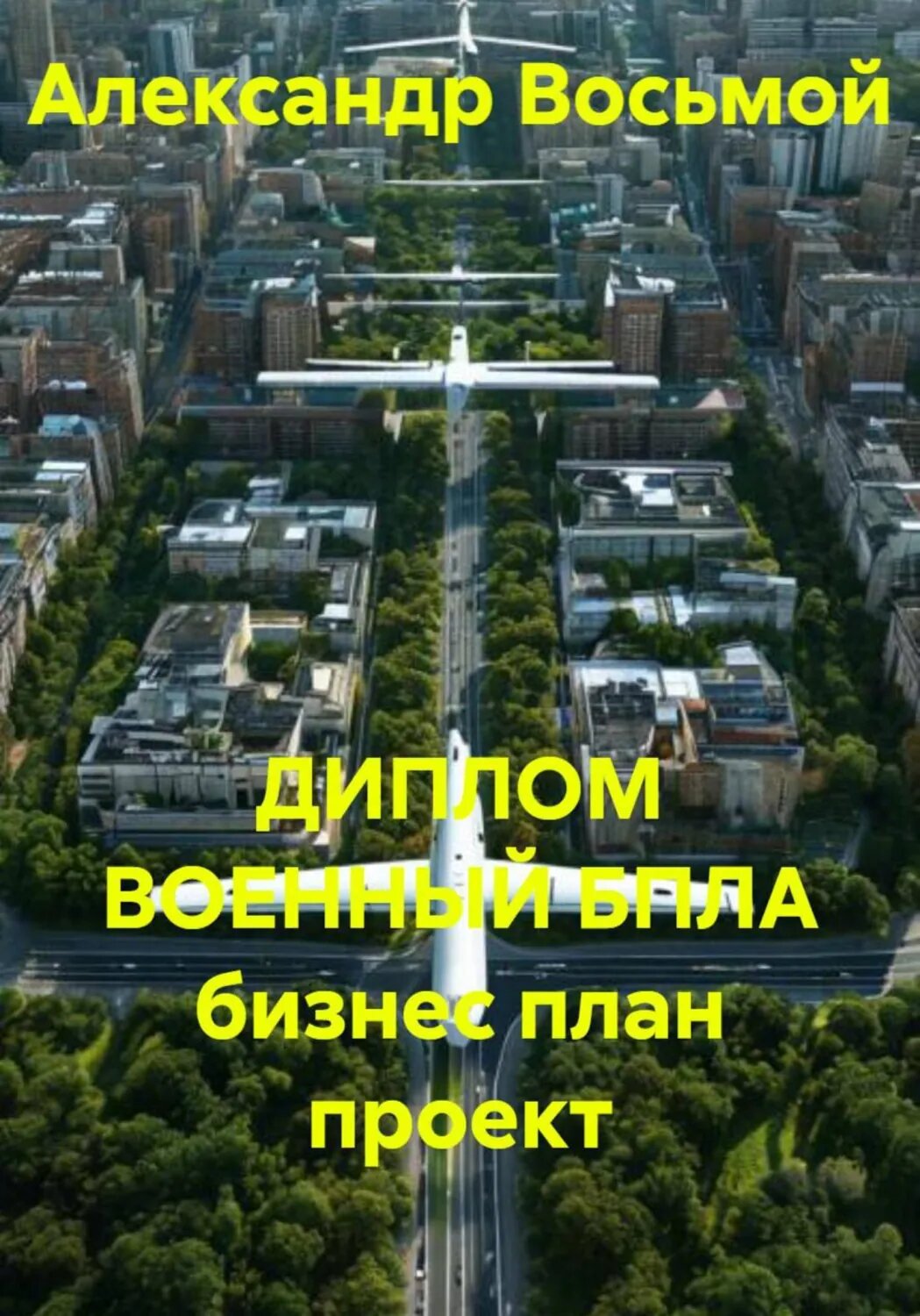 Диплом военный БПЛА бизнес план проект [Цифровая книга]