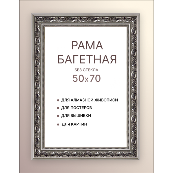 Багетная рама Декарт 50/70 8Л3601