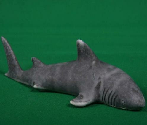 Акула. Символ силы и настойчивости