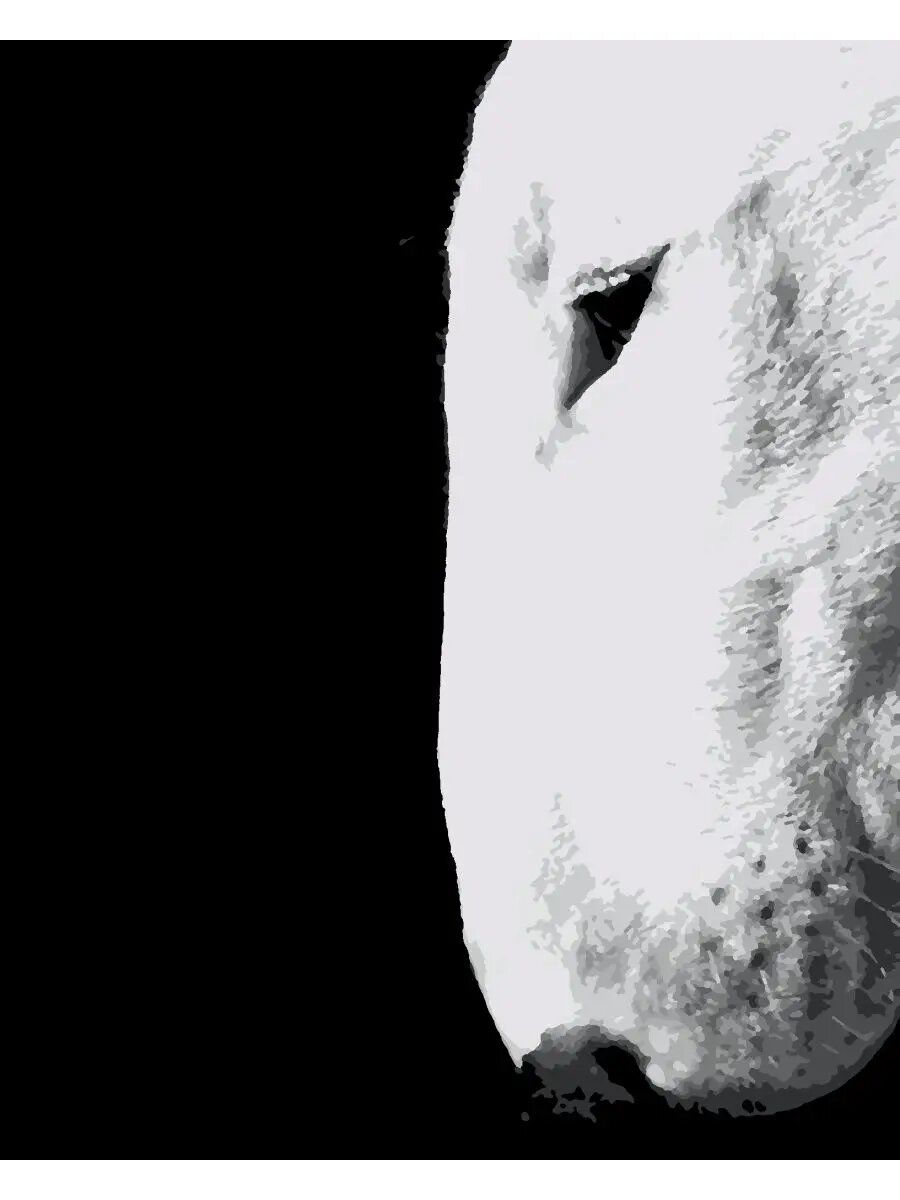 Картина по номерам Бультерьер 40х50 см