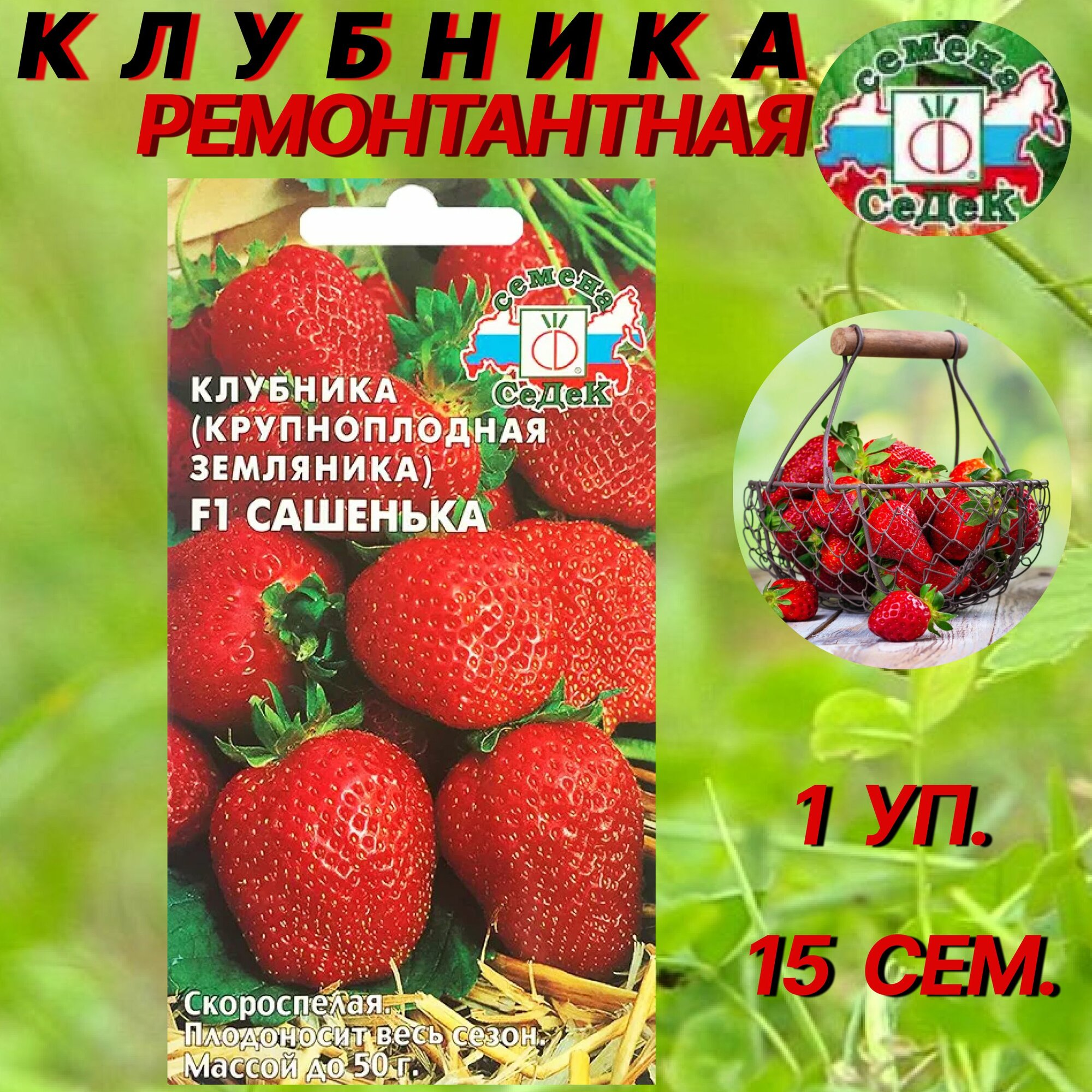 Семена клубники СеДек "Сашенька F1", ремонтантный сорт, крупноплодная