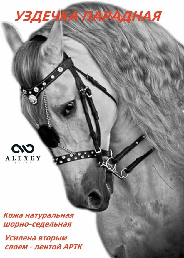 Кожаная уздечка металлический чехол для уздечки