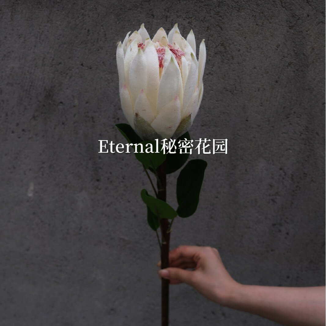 Флокированная одиночная ветка императорского цветка, южноафриканский принцесса цветок, подушка для булавок, цветок высокого класса, искусственный цветок для дома, цветок для лобби отеля