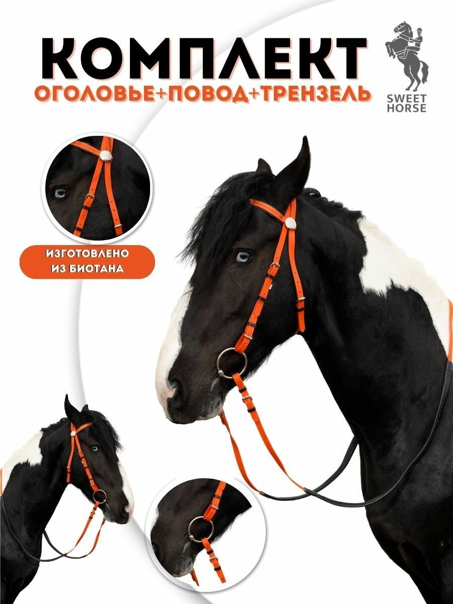 Sweethorse / Комплект- Оголовье+ повод + трензель, оранжевый
