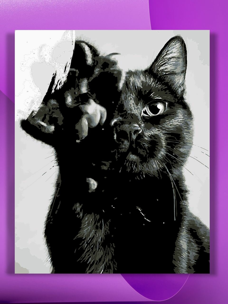 Картина по номерам на холсте Black Cat, 40 х 50 см