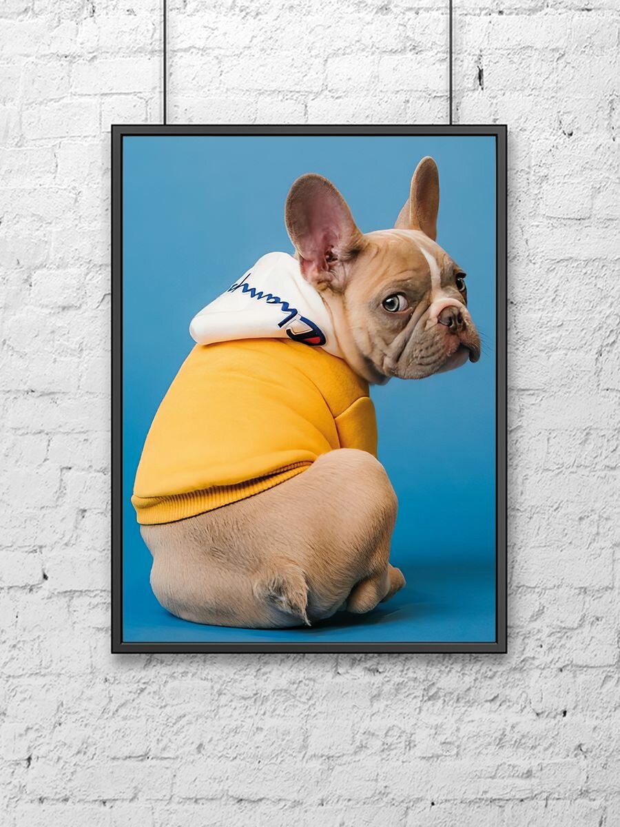 Постер для интерьера на стену (30х40 см). Французский бульдог в желтом худи