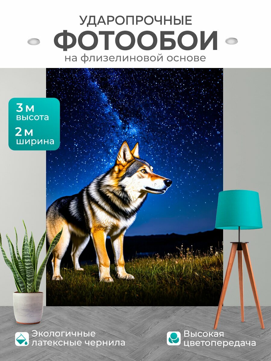 Фотообои моющиеся ударопрочные "Волк, смотрящий на яркие звёзды ночью" 200x300 см. флизелиновые на стену