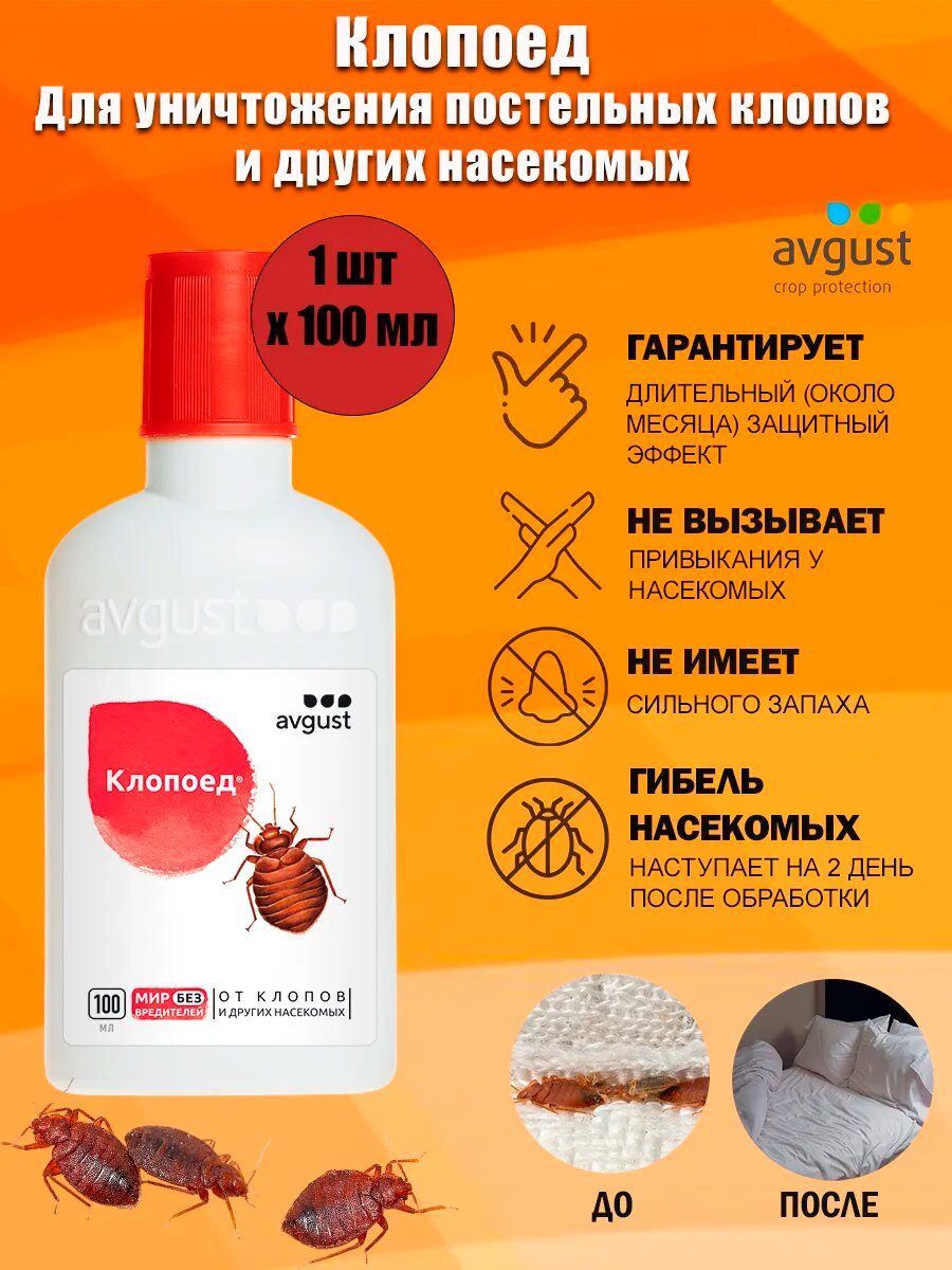 Средство от постельных клопов и других насекомых Клопоед Avgust, 100 мл