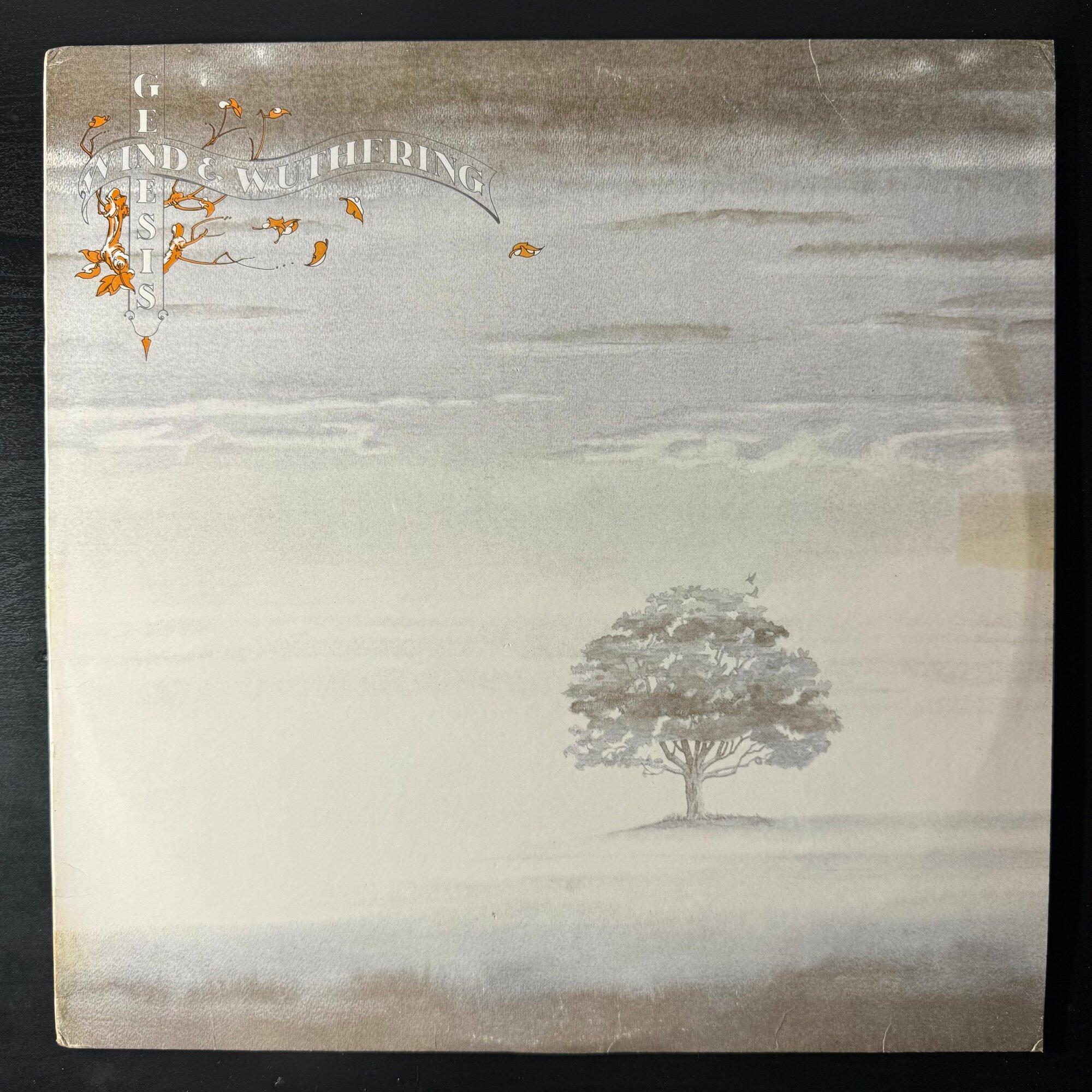 Виниловая пластинка Genesis - Wind & Wuthering (США 1977г.)