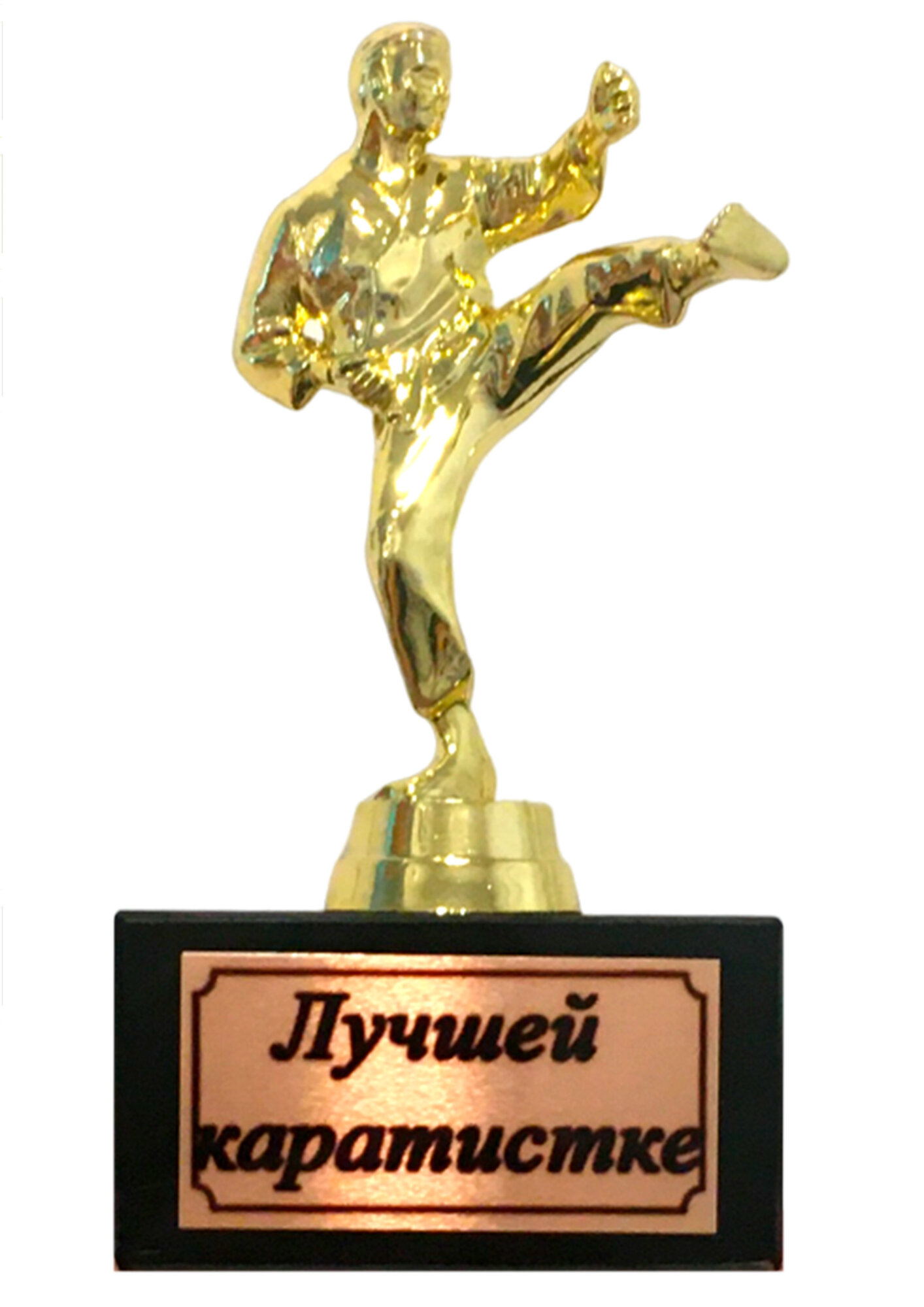 Статуэтка Лучшей Каратистке