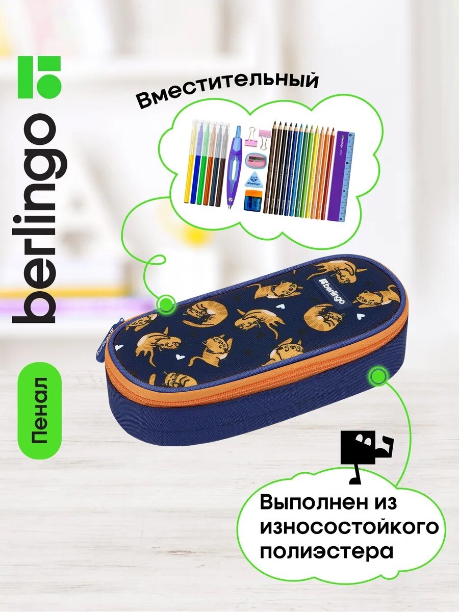 Пенал Berlingo Meow Power, для девочки, 1 отдел, 19,5х8,5 см
