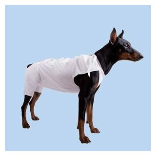 OSSO Послеоперационнная попона р.3