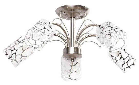 Потолочная люстра Mw-light Олимпия 261019505.