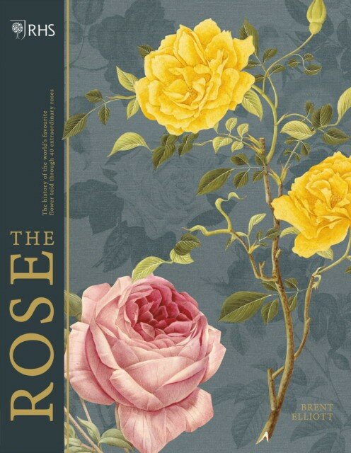 Elliott Brent "Rhs the Rose: The History of the World's Favourite Flower Told Through 40 Extraordinary Roses"