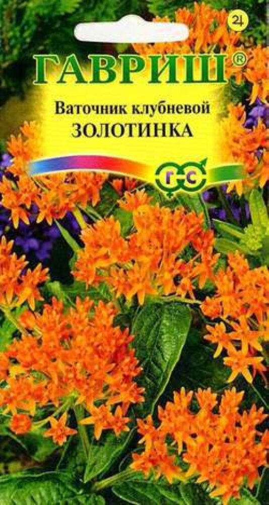 Цена за 10 пачек! Семена Ваточник Золотинка клубневой 0,03г Мн (Гавриш)