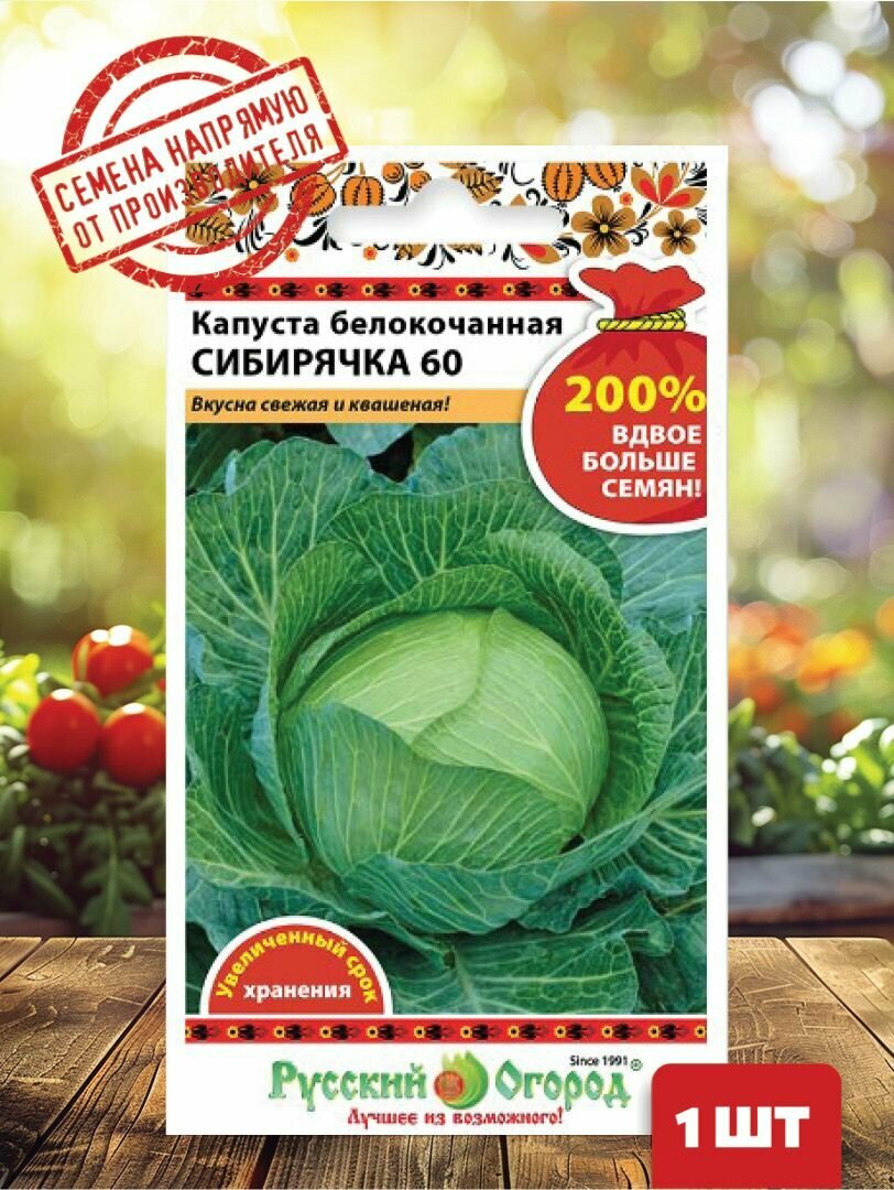 Семена Капуста б/к Сибирячка 60 NEW
