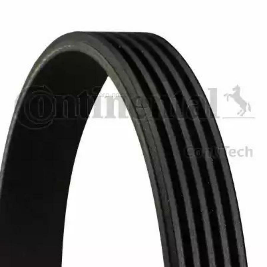 CONTITECH 5PK628ELAST Ремень ручейковый 5PK628 ELAST
