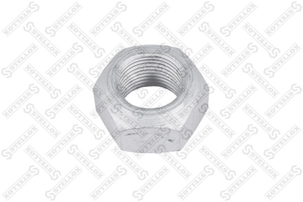 89-02109-SX_гайка болта рессоры M24x2 RVI Premium/Magnum/Kerax 00