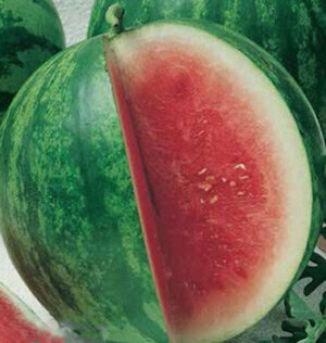 Семена Арбуза Деликатесный F1 (1 гр.)