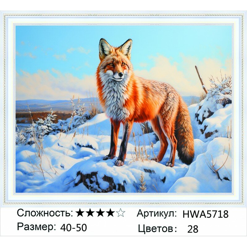 Алмазная мозаика Painting Diamond HWA5718, холст на подрамнике, круглые стразы, 40x50 см